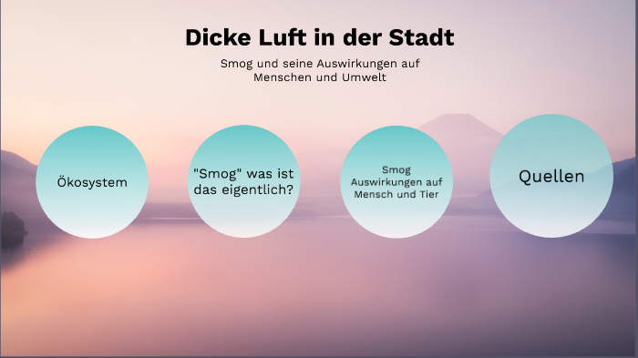 Kopie von BIO by Nancy Hoppe on Prezi