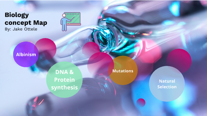 Biology Concept Map by Kenneth Ottele on Prezi
