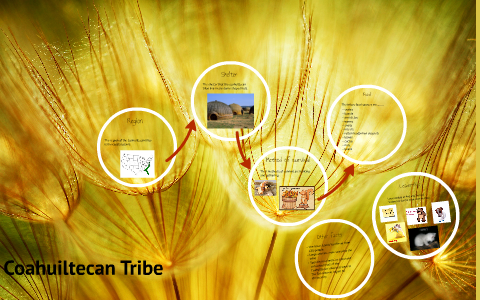 Coahuiltecan Tribe by Lauren Thompson on Prezi