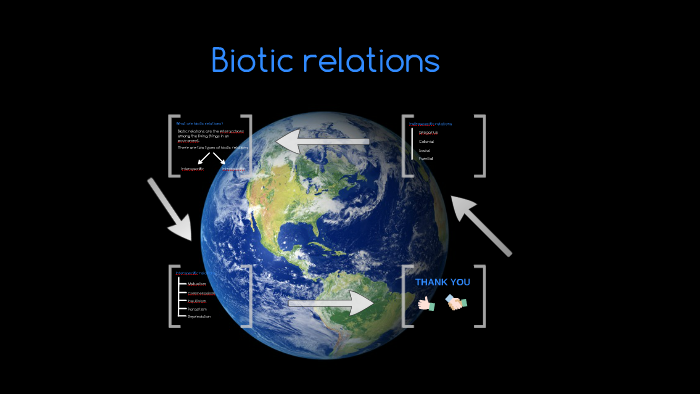 Biotic relations by Paula Garcia Marse on Prezi