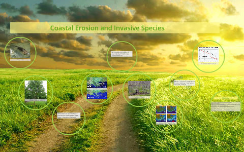 Coastal Erosion and Invasive Species by celeste c on Prezi