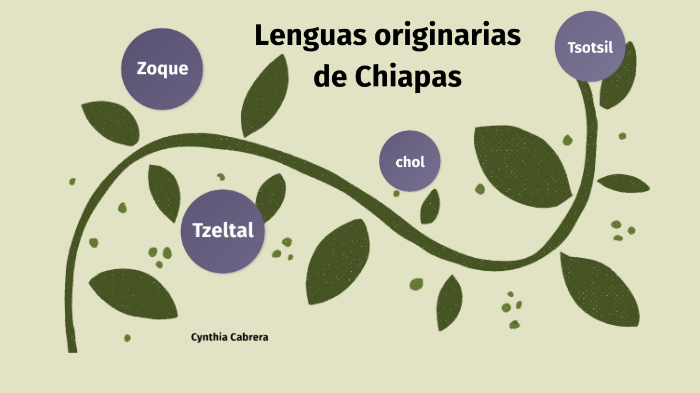 Las lenguas originarias más importantes de Chiapas by Cynthia Cabrera ...
