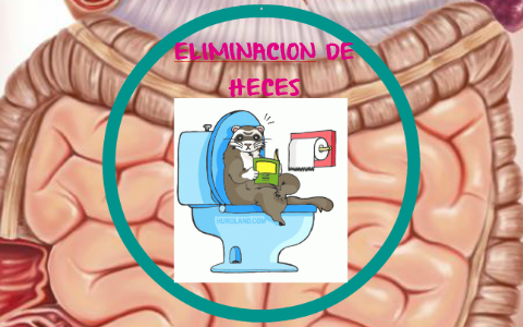 DEFECACION by on Prezi