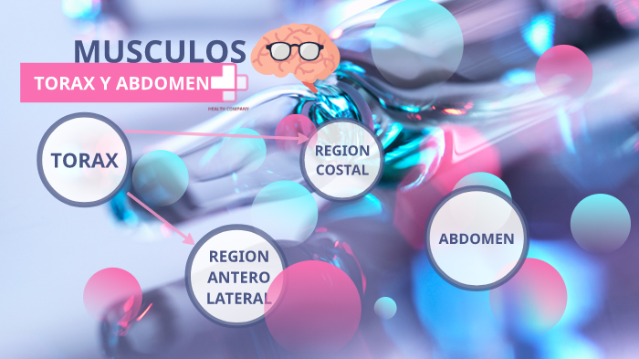 Musculos del torax by Ambar Flores on Prezi