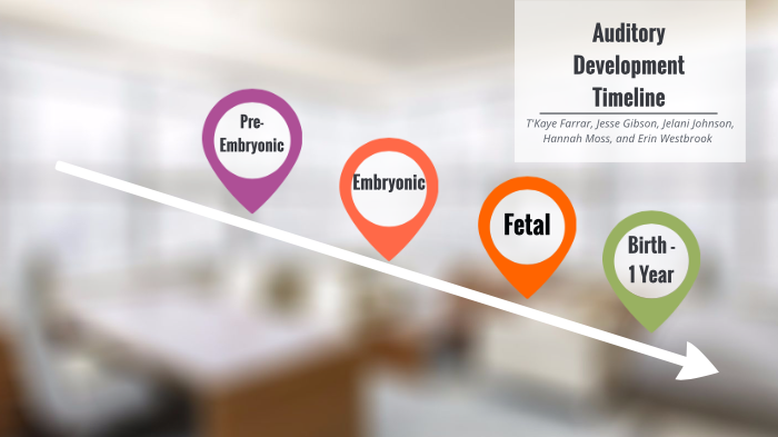 Auditory Development Timeline by Erin Westbrook on Prezi