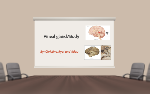 Pineal gland/Body by christina dimo