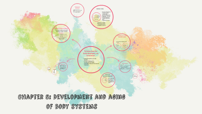 Chapter 5: Development and aging of body systems by Jake Rosburg on Prezi