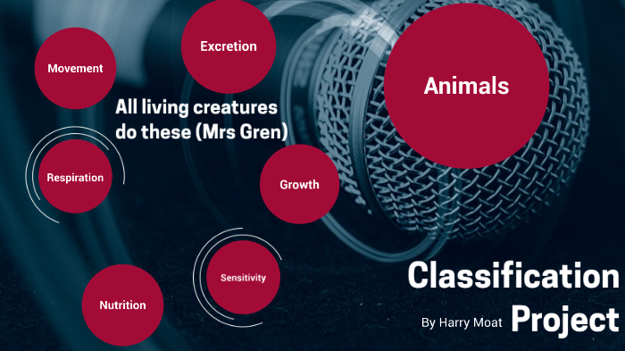 Classification Project - Harry Moat by Harry Moat on Prezi