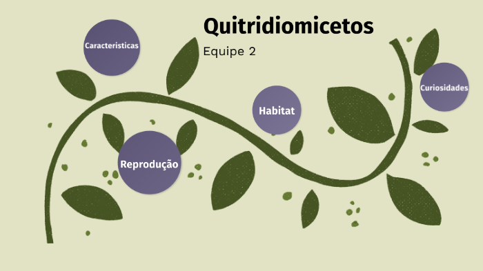 Quitridiomicetos by Giovana Moreira on Prezi