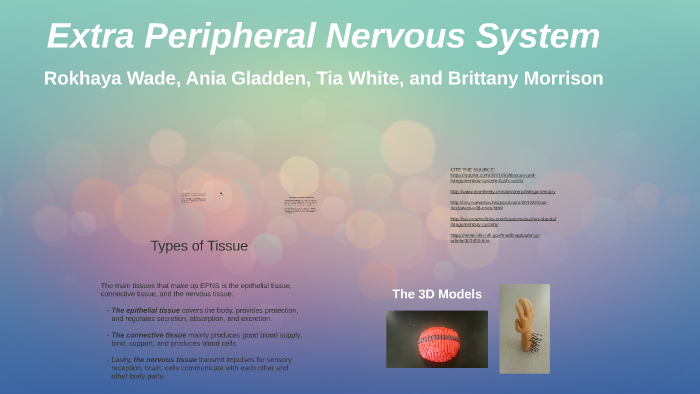 Extra Peripheral Nervous System by Rokhaya Wade on Prezi