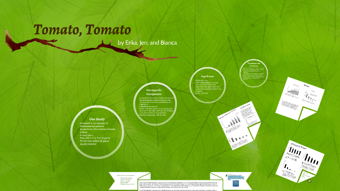 Tomato, Tomato by Jennifer Allott on Prezi