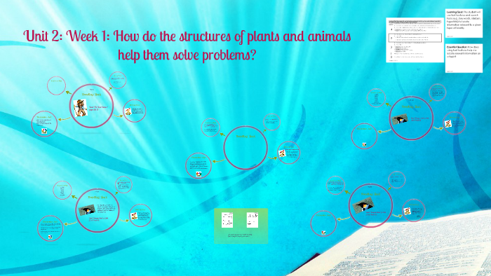 Unit 2: Week 1: How do the structures of plants and animals help them ...