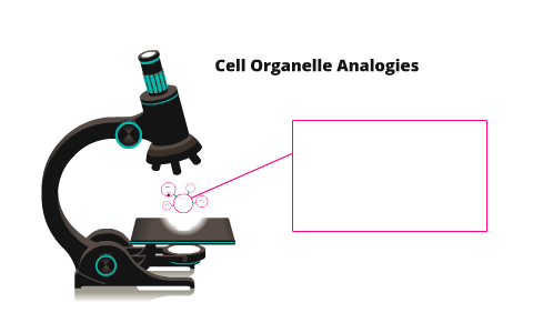 Cell Organelle Analogies by on Prezi