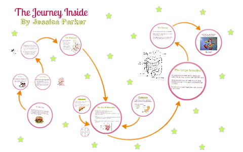 The Journey Inside by Jessica Parker on Prezi
