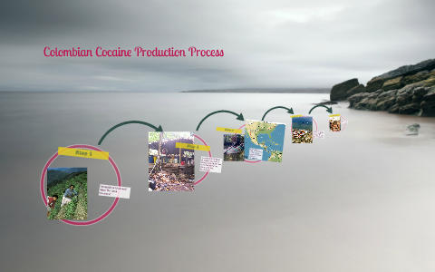 Colombian Cocaine Process by Laura Zappas on Prezi