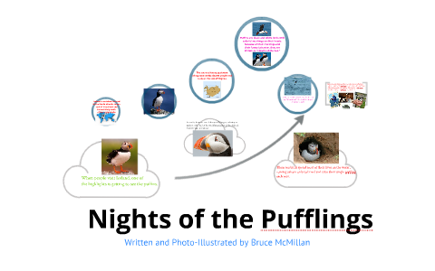 Night of the Pufflings by Laurie Chang on Prezi