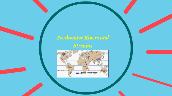 Freshwater Rivers and Streams by Matthew Bussey