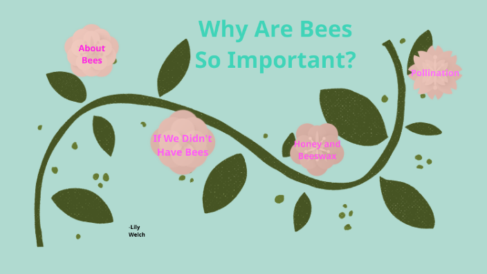 Why Are Bees So Important? by Lily Welch on Prezi