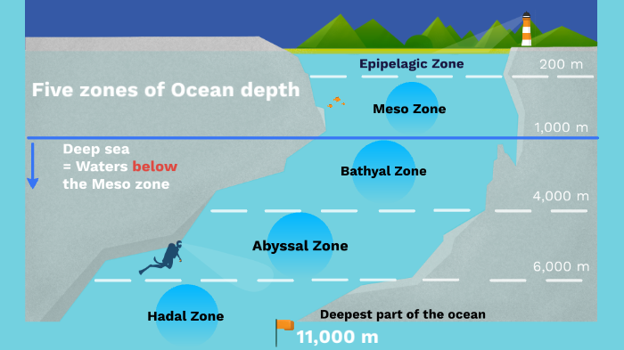 Deep-sea Zones by jason tang on Prezi