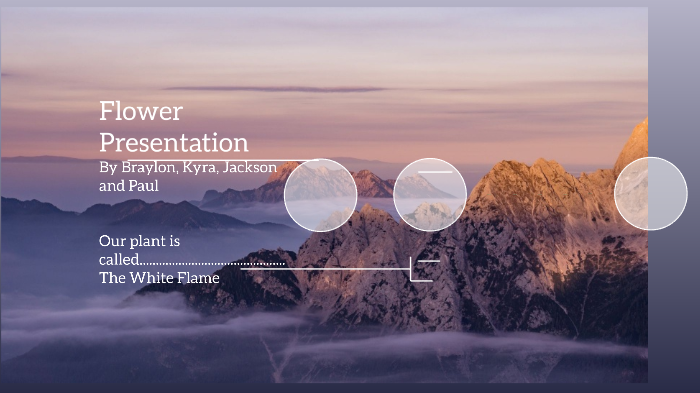 Flower Presentation by Braylon Agee on Prezi