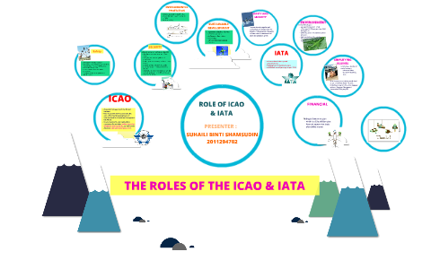 THE ROLES OF THE ICAO, IATA, IMO, MASA & CHAM by suhaili shamsudin on Prezi