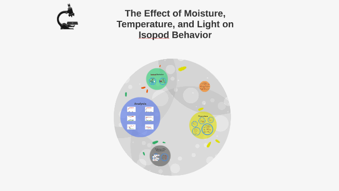 Isopod Lab by Bianca Altamirano on Prezi