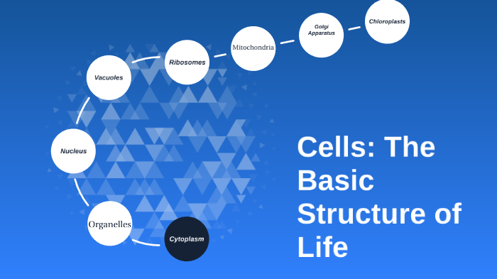 Cells the basic structure of life by Charles Thomas on Prezi