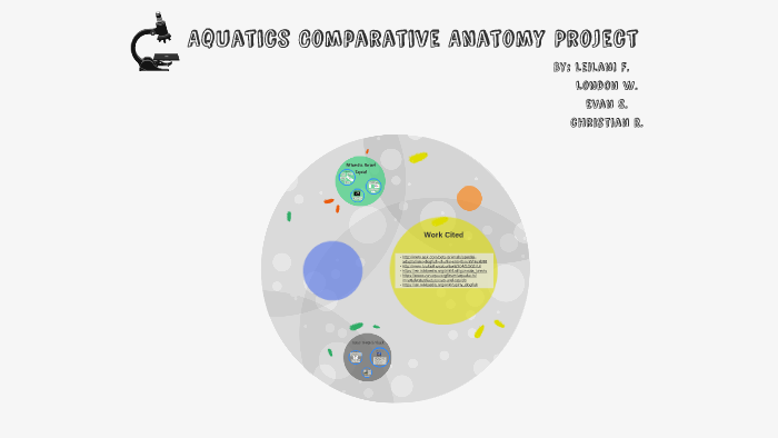Aquatics Comparative Anatomy Project by leilani freeman on Prezi