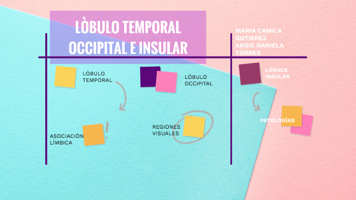 LÓBULO TEMPORAL OCCIPITAL E INSULAR by Maria Camila Gutierrez Galvis on ...
