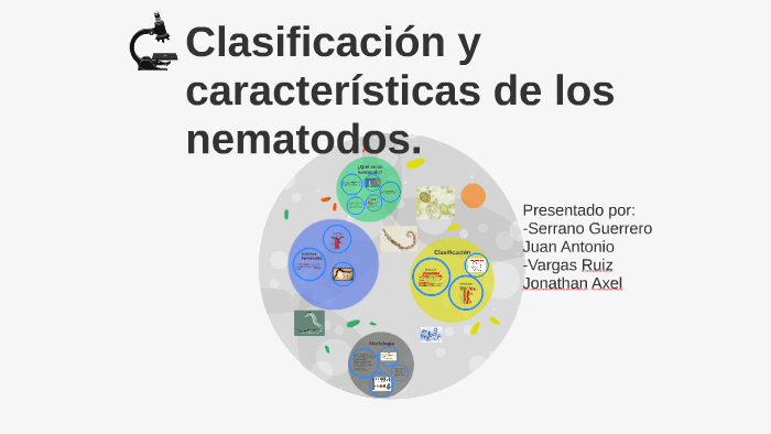 Clasificación y características de los nematodos by Juan Antonio Serrano Guerrero on Prezi