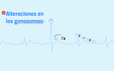Alteraciones en los gonosomas: by irene aragones on Prezi