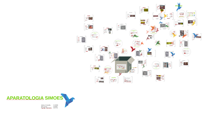 SIMOES NETWORK by Mishí Mosquera on Prezi