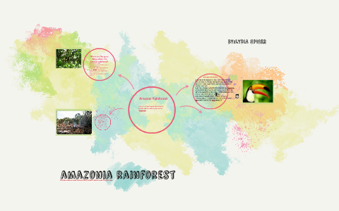 amazon rainforest by Lydia Spicer on Prezi