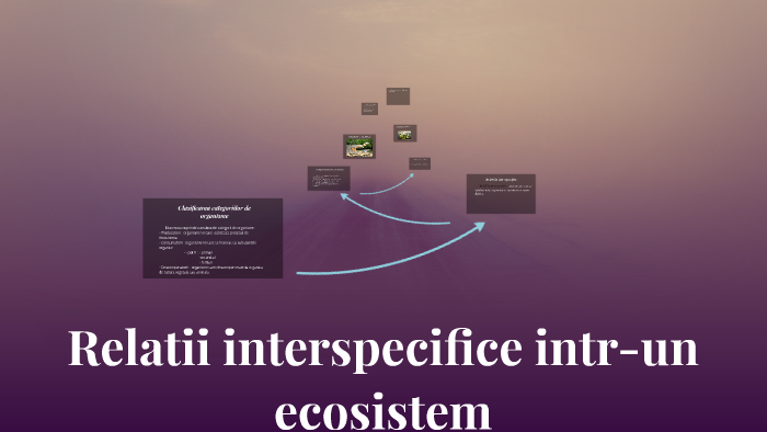 Relatii interspecifice intr-un ecosistem by Denisa Gabriela on Prezi