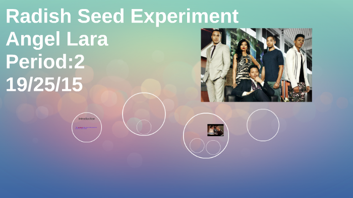 Radish Seed Experiment by Angel Lara on Prezi