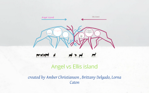 Angel vs Ellis island by Amber Christainson on Prezi