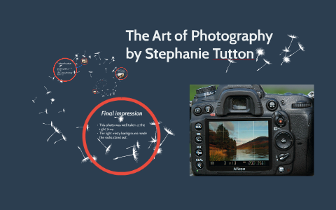 The Art of photography by Stephanie Tutton