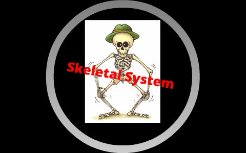 Skeletal System by Ross Pattee on Prezi