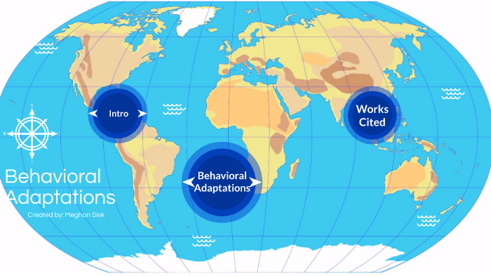 Behavioral Adaptations by Meghan Sisk on Prezi