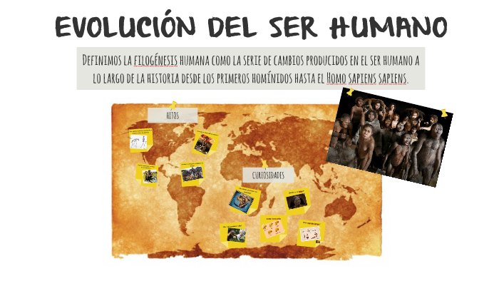 FILOGÉNESIS HUMANA. La evolución de los homínidos. by Irene R. on Prezi