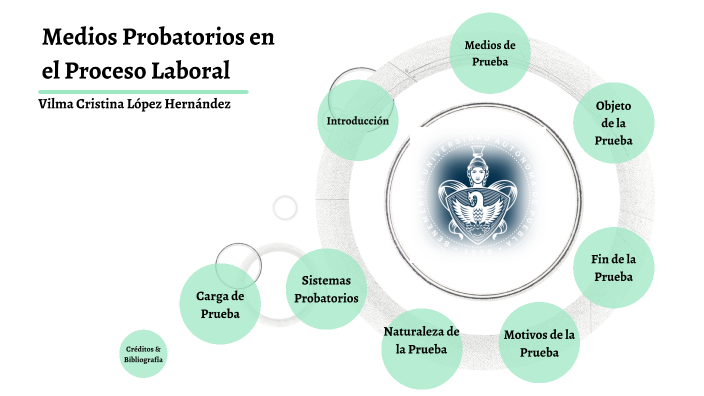 Medios Probatorios en el Proceso Laboral by Vilma Cristina López ...