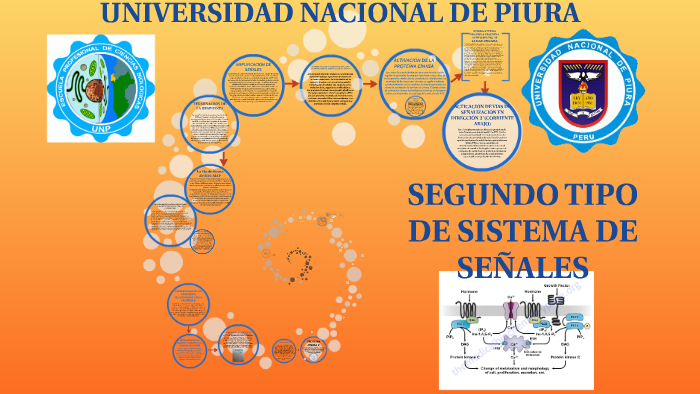 Uno de los principios básicos by on Prezi