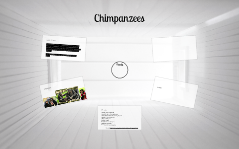Chimpanzees Presentation - The Chimpanzee unit by E PV on Prezi