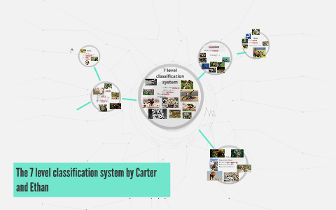 7 level classification system by carter thompson on Prezi