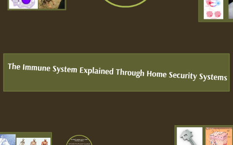 The Immune System Explained Through Mythological Fortress by Alex ...