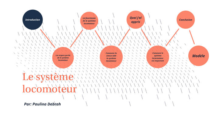Le systeme locomoteur by Lina Martin on Prezi