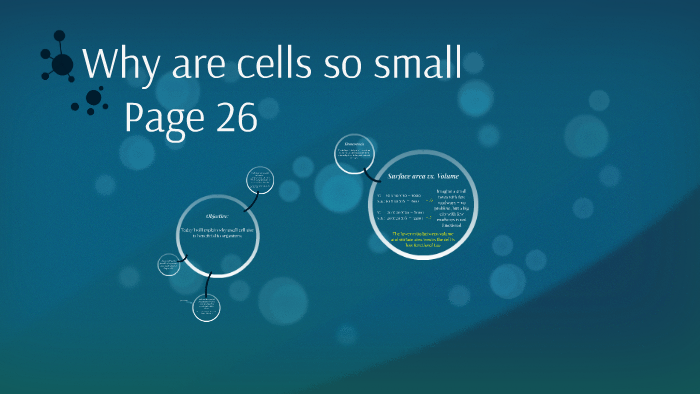 Why are cells so small by Jennifer Pennington on Prezi