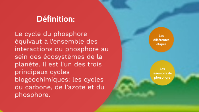 Le cycle du phosphore by adriana bertolini on Prezi