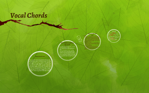 Vocal Chords by Ava Lindquist-Sher on Prezi