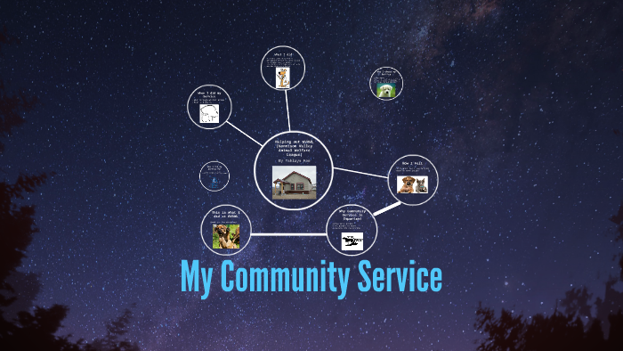 My Community Service by